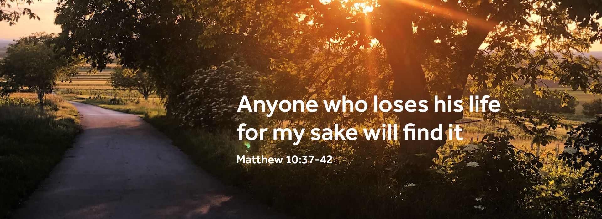 Castlecomer Parish | Church of the Immaculate Conception