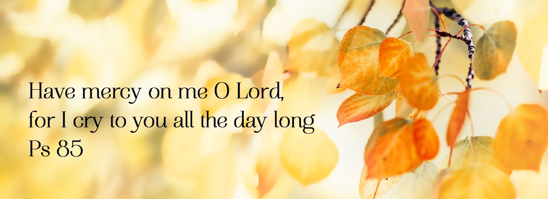 Castlecomer Parish | Church of the Immaculate Conception