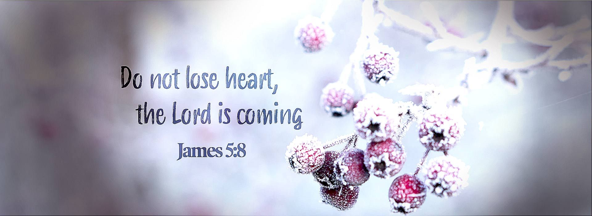 Castlecomer Parish | Church of the Immaculate Conception