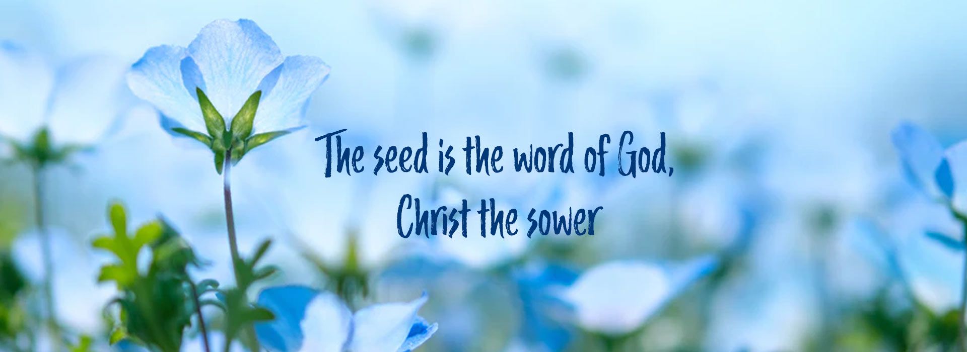 Castlecomer Parish | Church of the Immaculate Conception